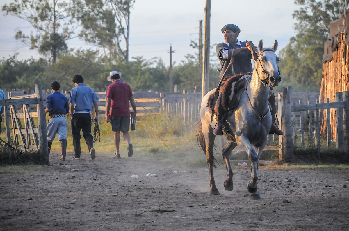 Todo pronto para la 35° Fiesta de la Patria Gaucha » Portal Medios Públicos