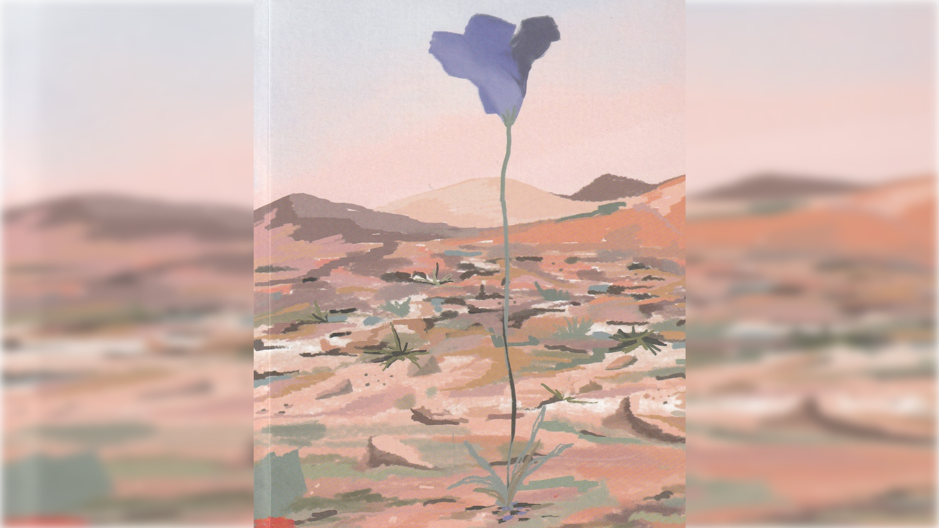 Claudia Grassi y su libro: “Un desierto hecho Jardín. Del dolor a la ...