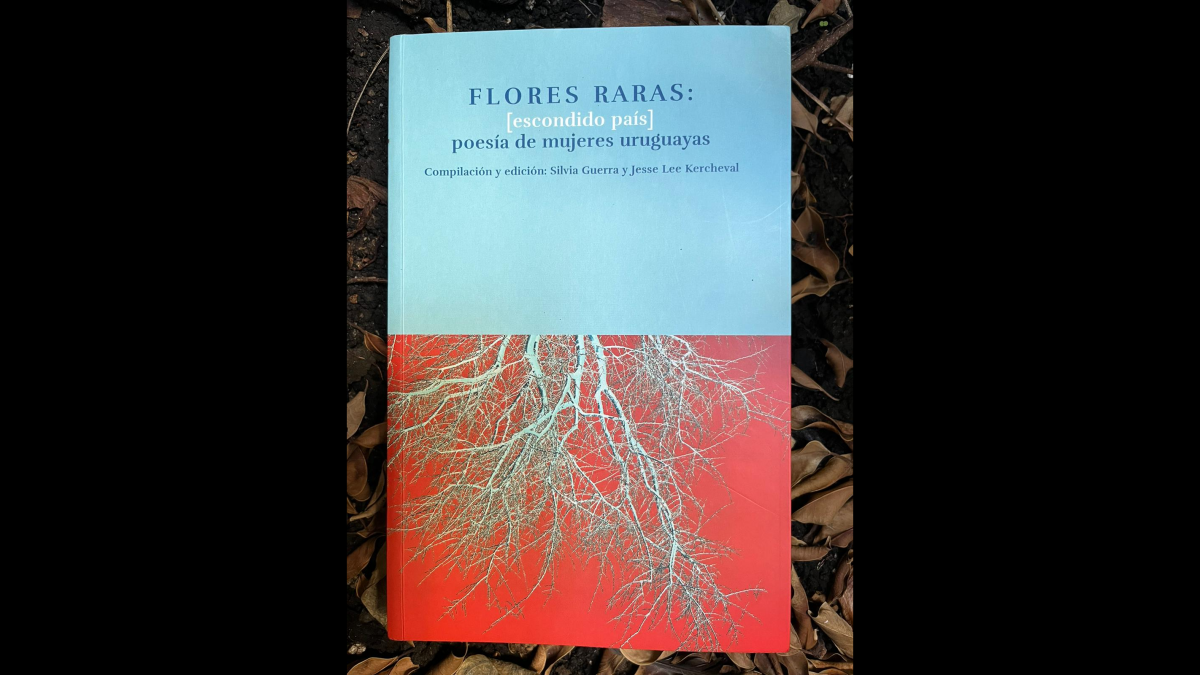 Mujeres poetas en La Canoa » Portal Medios Públicos