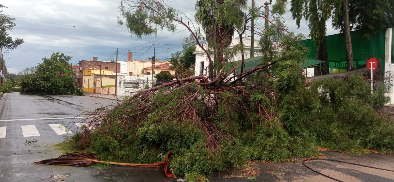 Florida fue afectada por una turbonada con vientos que superaron los ...