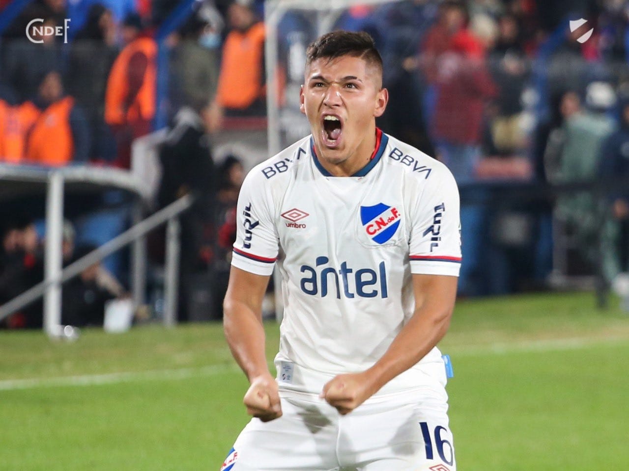 Lozano: «luché para volver a Nacional» » Portal Medios Públicos