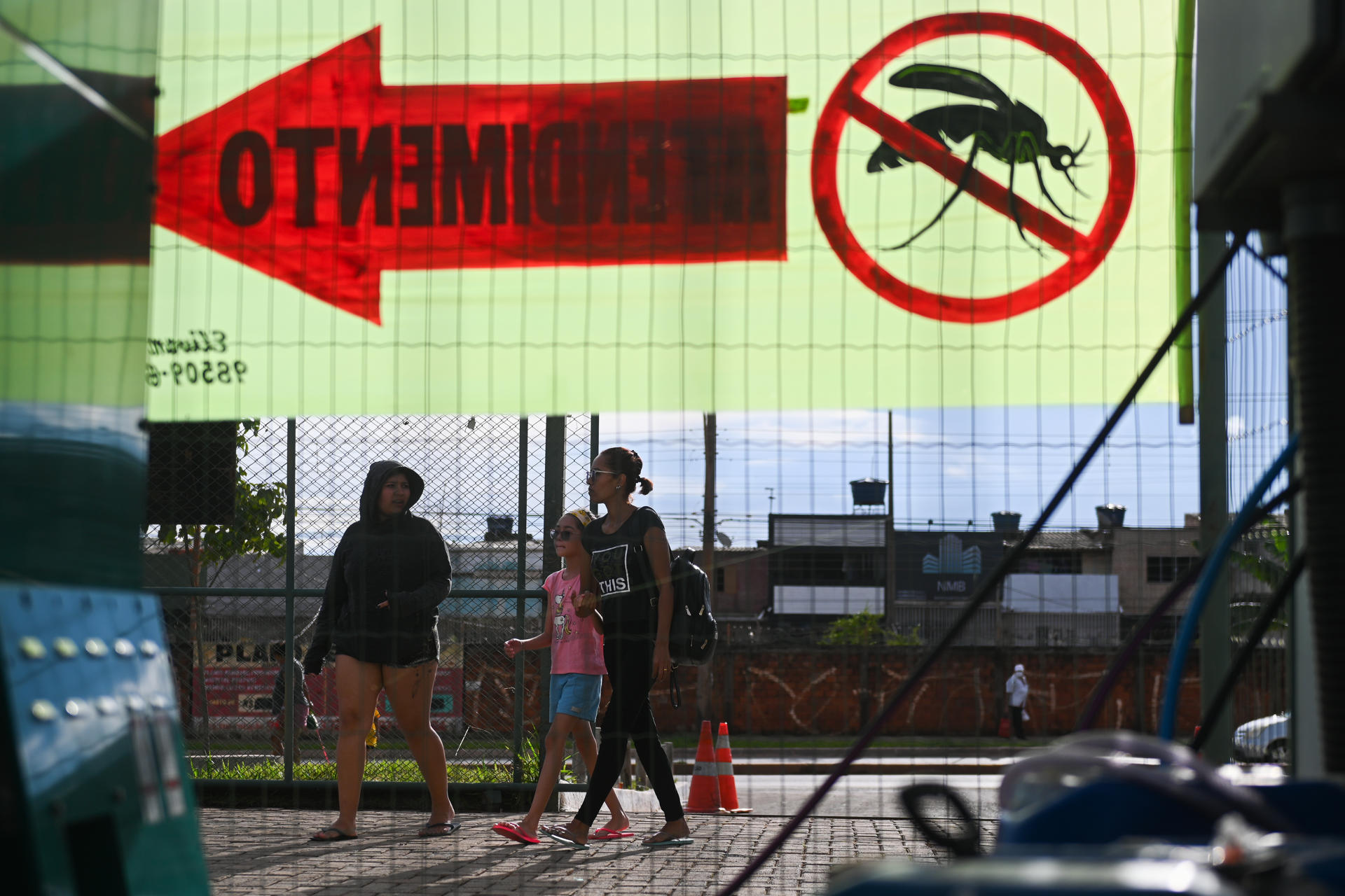 La OMS lanza un plan global para combatir el dengue » Portal Medios ...