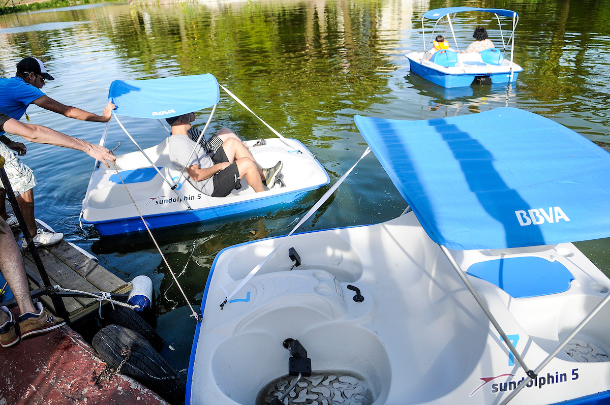 Islas del Parque Rodó se transformarán en jardines nativos » Portal ...