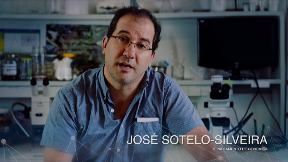 Avances en la comprensión del Alzheimer. El descubrimiento de nuevos datos en Uruguay » Portal ...