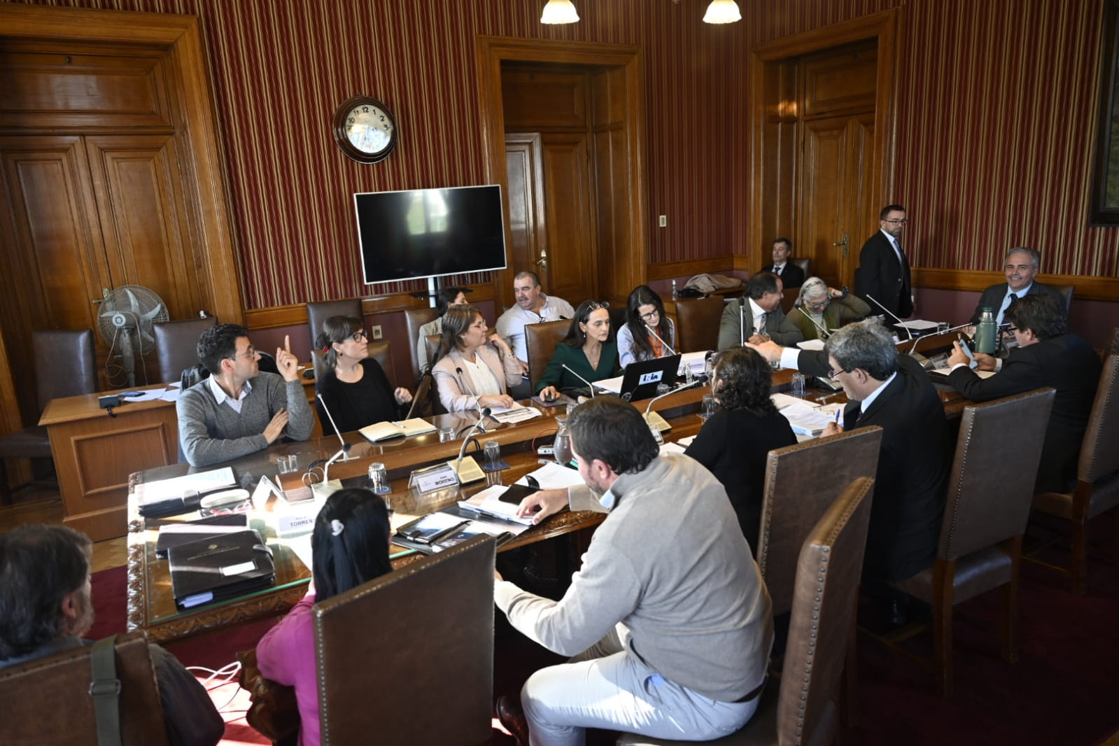 125 mil animales ya fueron chipeados, según anunció el INBA » Portal ...